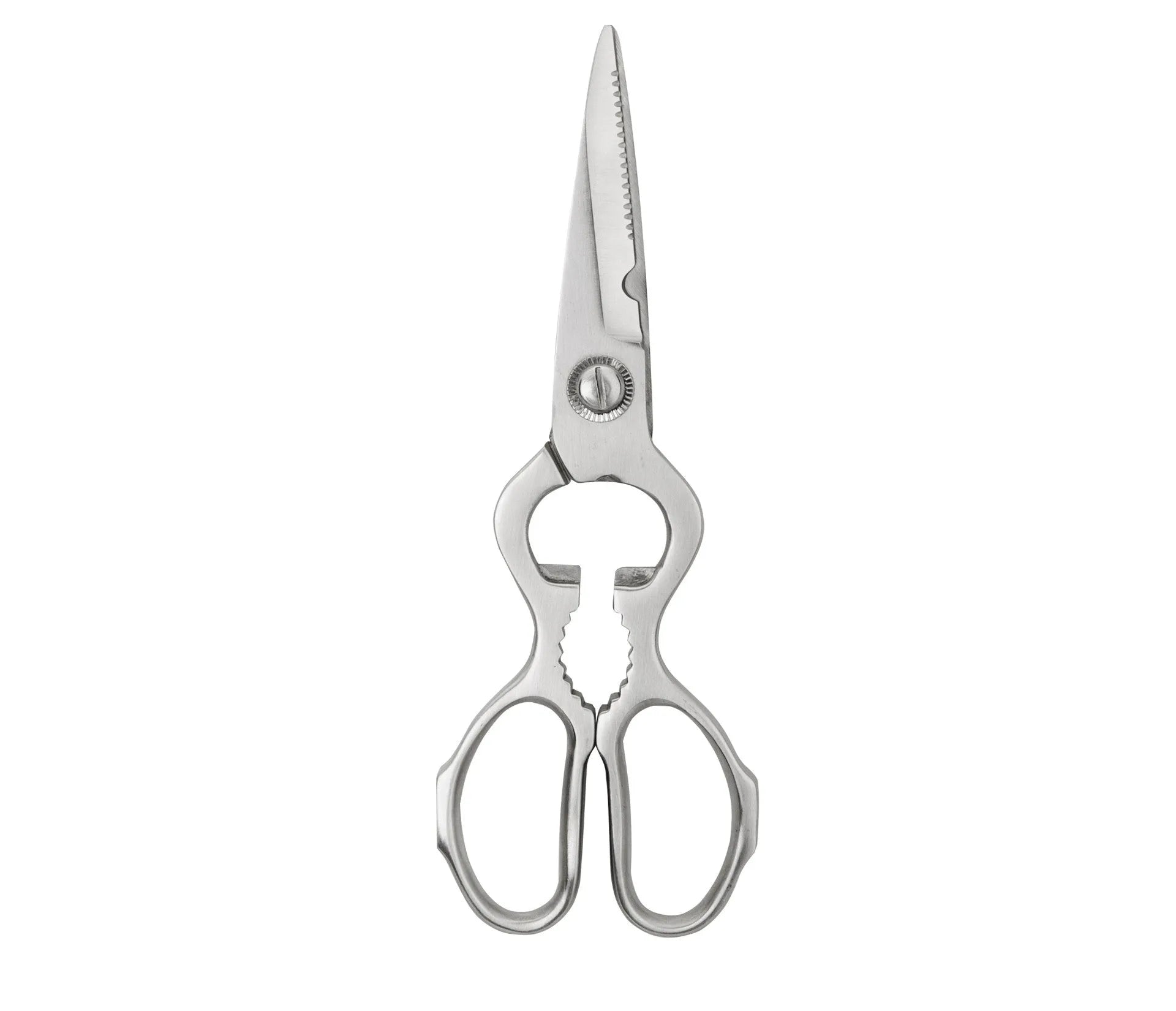 LACOR Professional Stainless Steel Scissors 38010